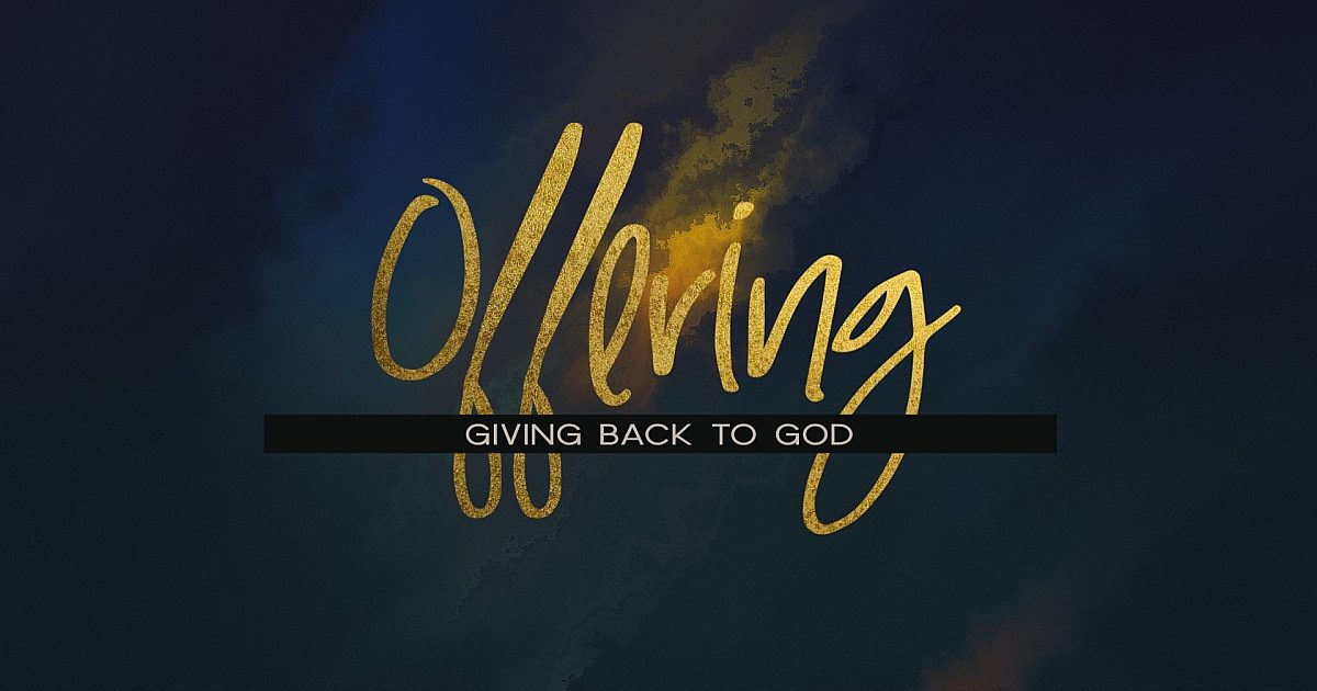 Vibrant Winter Offering Graphic | Still Background