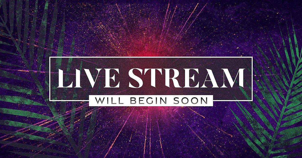 Vivid Palm Sunday Live Stream Still | Still Background