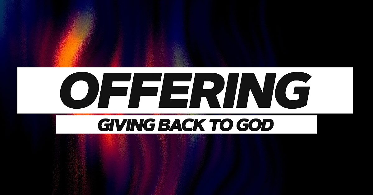 Vividry Offering | Still Background