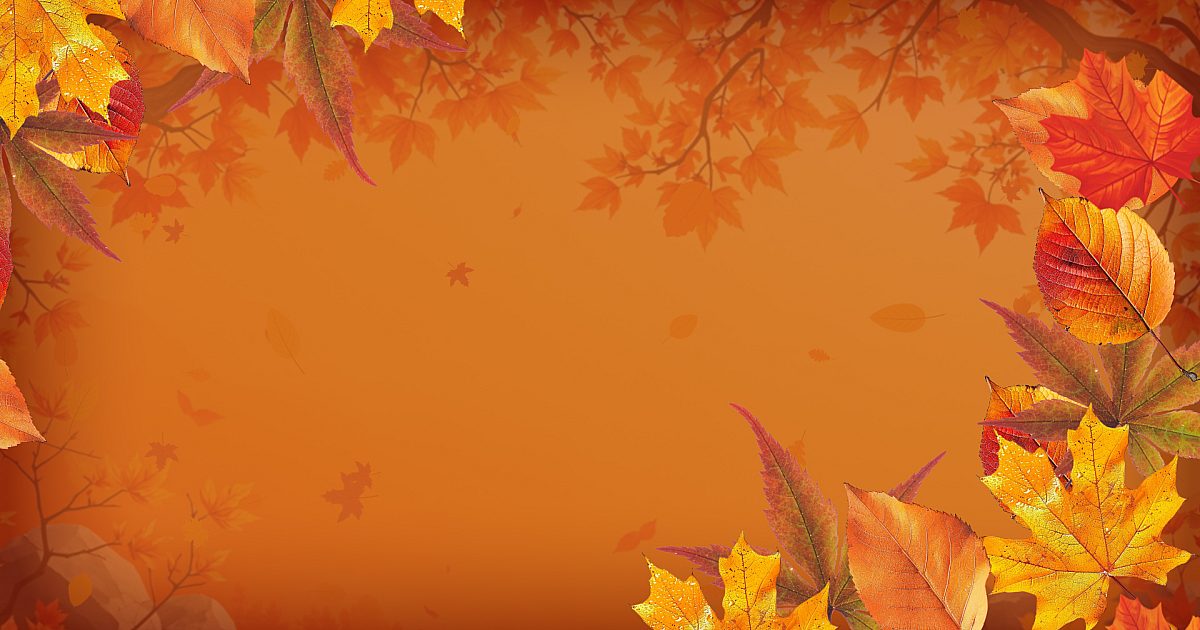 Warm Autumn Colors AM Graphic 05 | Still Background