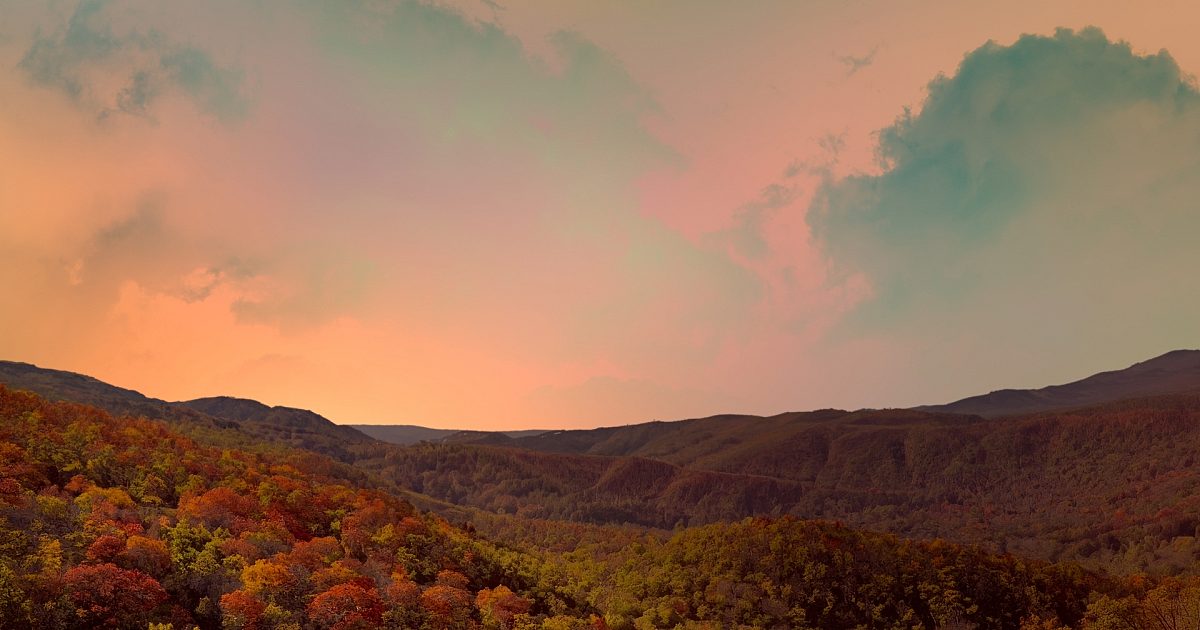 Wilderness Fall 14 Still | Still Background