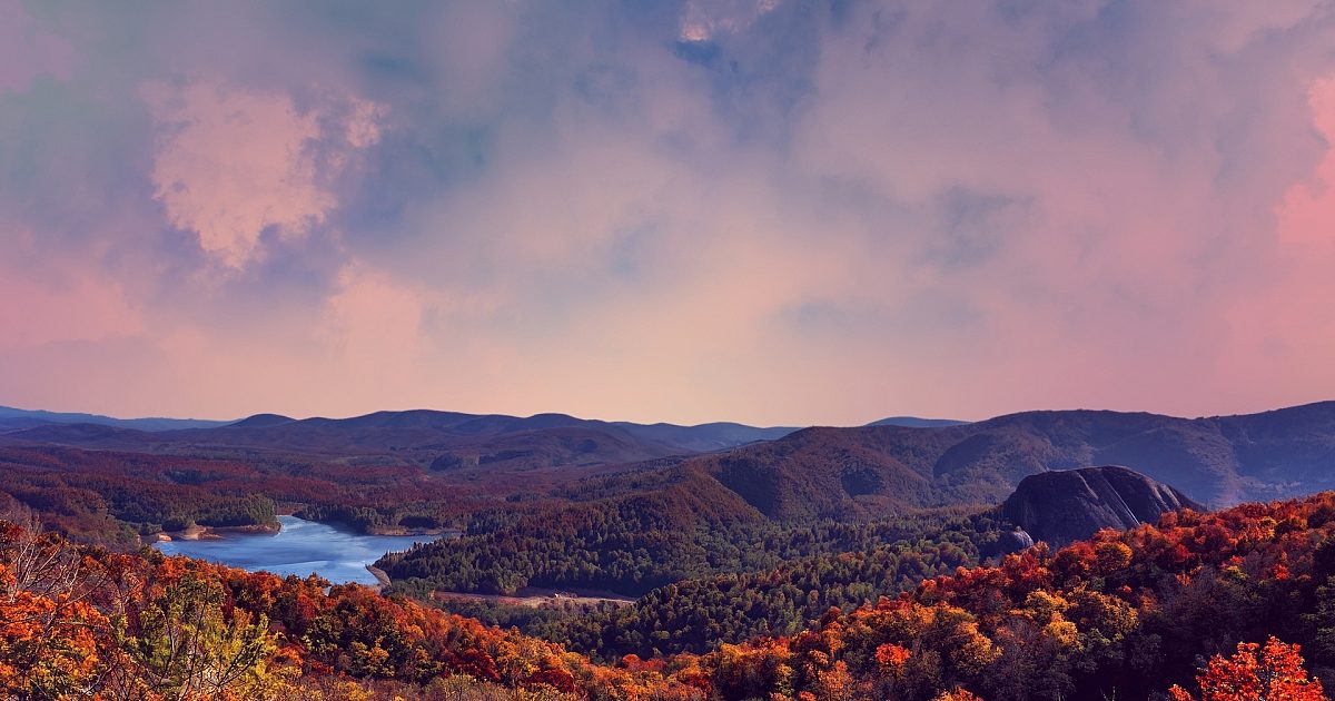 Wilderness Fall 8 Still | Still Background