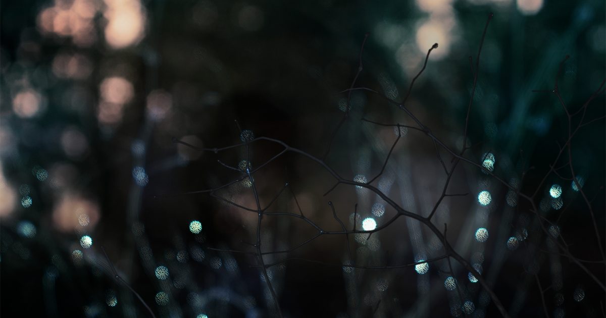 Winter Frost 3 Still | Still Background