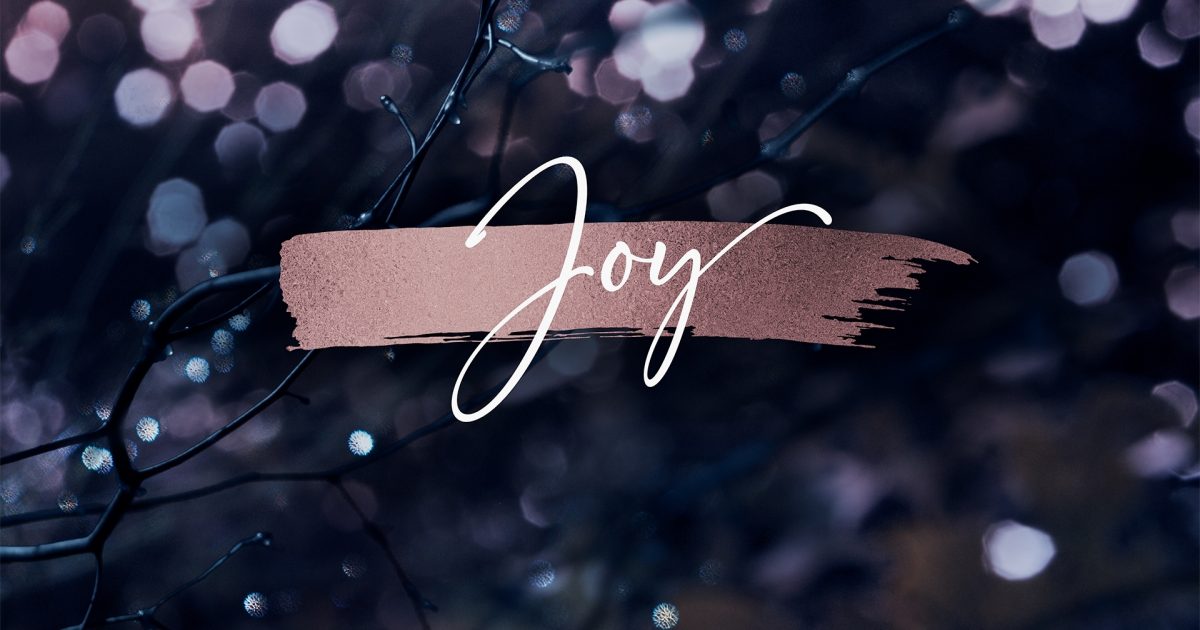 Winter Frost Joy Still | Still Background