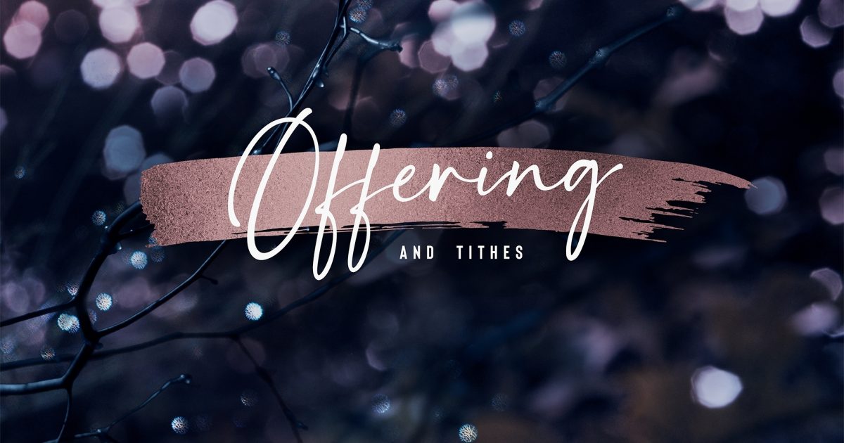 Winter Frost Offering Still | Still Background