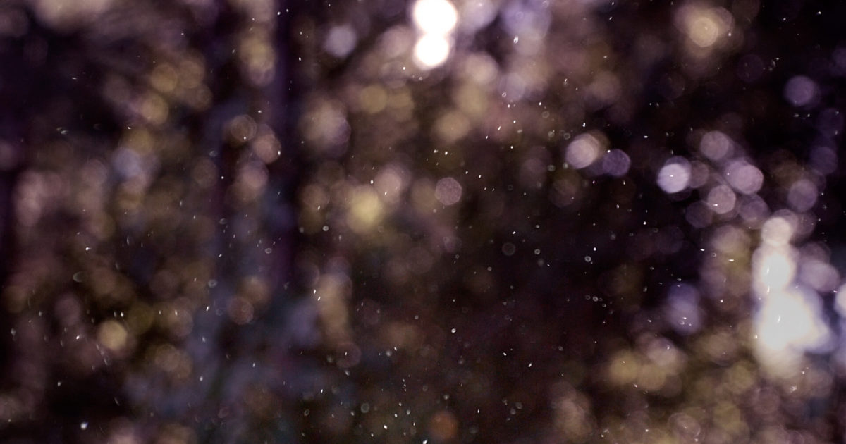 Winter Snow 14 Still | Still Background