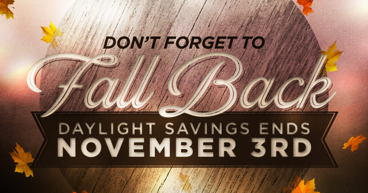 Woodgrain Fall Back | Still Background